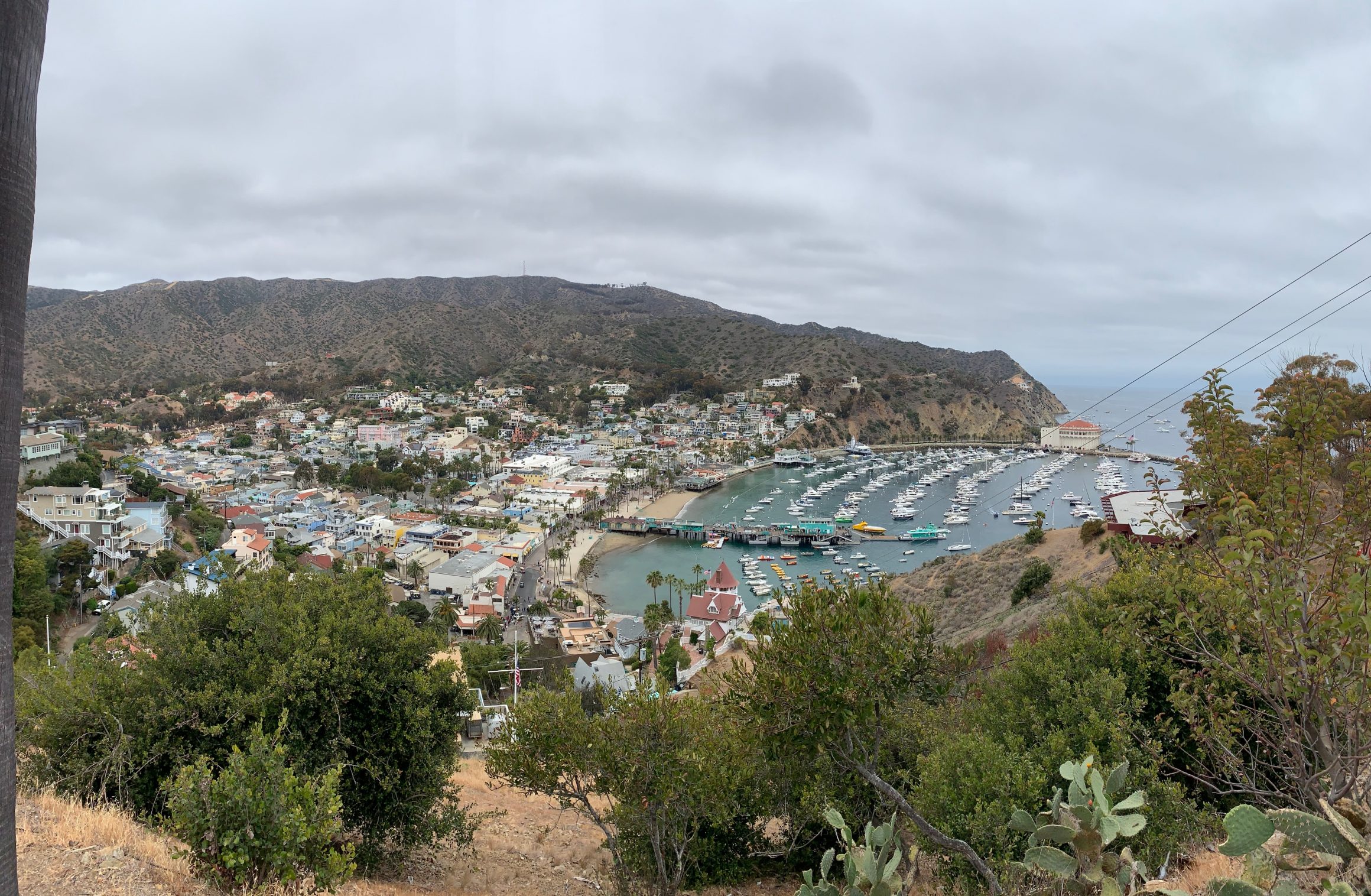 Catalina Island: a ilha paradisíaca pertinho de Los Angeles - Revista ...